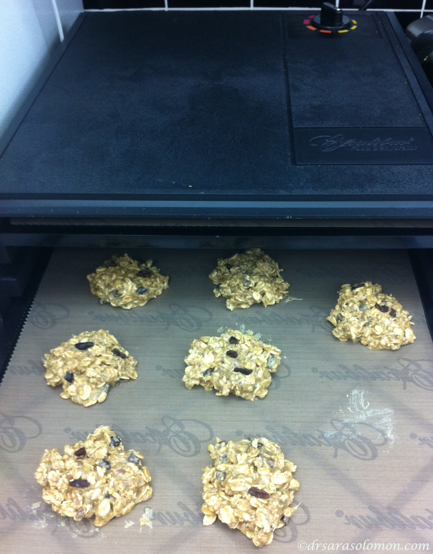 Gaspari Oatmeal Cookies | Dr. Sara Solomon
