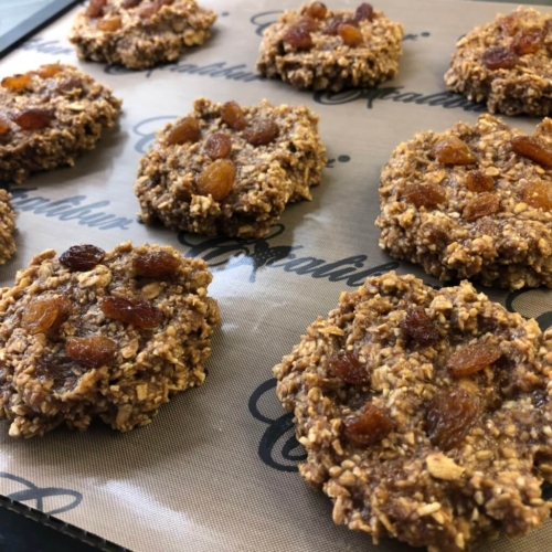 Oatmeal Raisin Dehydrator Cookies | Dr. Sara Solomon